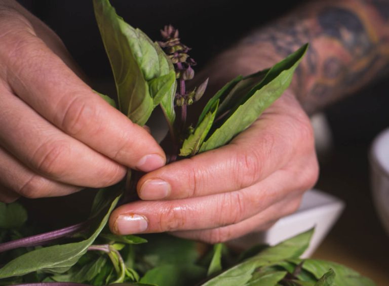 Pesto - Wicked Kitchen