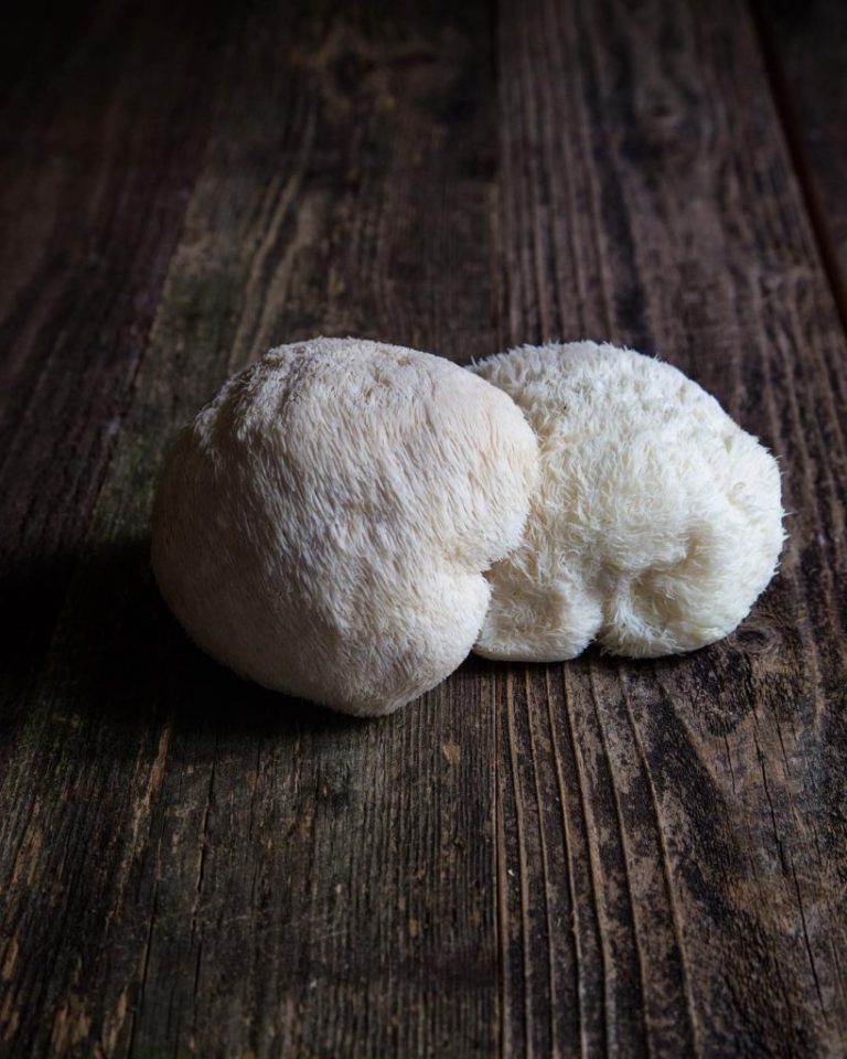 Wicked Healthy’s Shroom Spotlight | Lion’s Mane - Wicked Kitchen